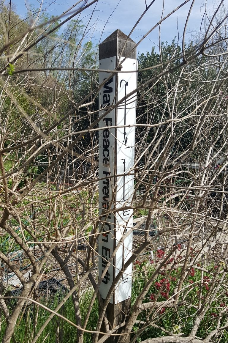 Eco-Road Trip - Muir Commons Cohousing & Davis Domes - Taylor Scott Nelson