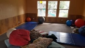 Eco-Road Trip - Muir Commons Cohousing & Davis Domes - Taylor Scott Nelson