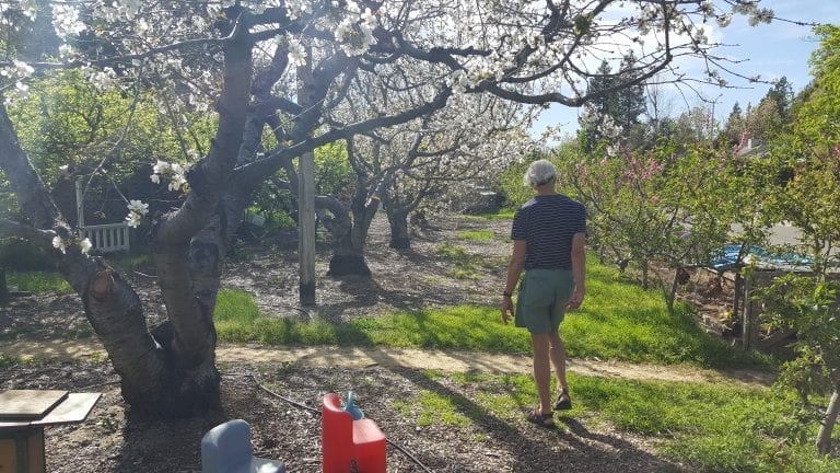 Eco-Road Trip - Muir Commons Cohousing & Davis Domes - Taylor Scott Nelson