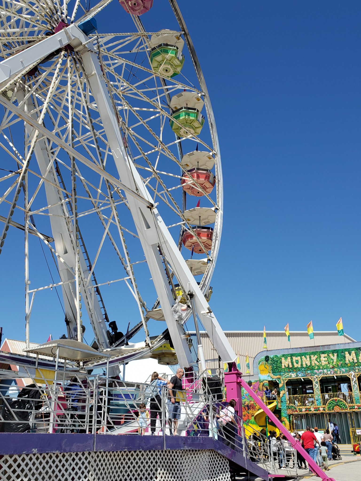Rodeo Austin and Waste Wrangling - Taylor Scott Nelson